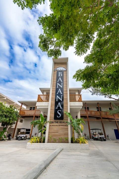 Bananas On The Beach | San Pedro | VacationRenter