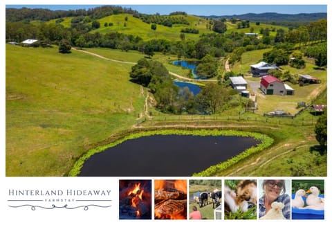 Hinterland Hideaway Farm Stay | Queensland | VacationRenter