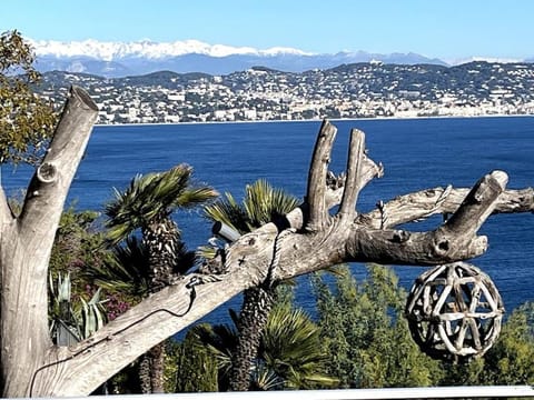 La maison de Céline vue mer panoramique et jacuzzi | Mandelieu-La ...