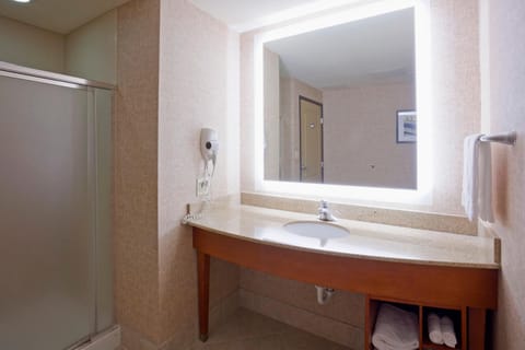Holiday Inn Hotel & Suites Maple Grove Northwest Minneapolis-Arbor ...