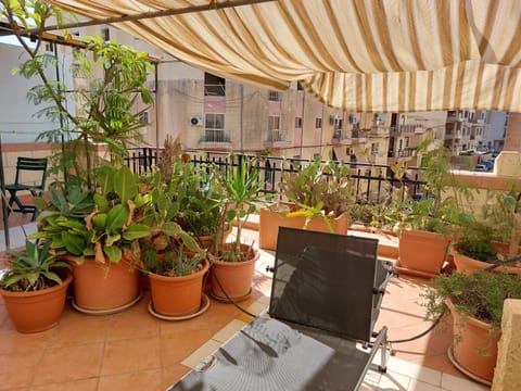 The roof garden | Marsaskala | VacationRenter