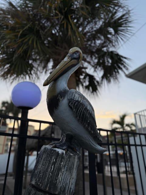 Holiday Isles Resort | Madeira Beach, FL | VacationRenter