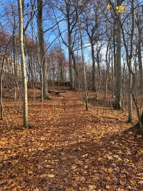 Ewa & Maude Hotel Aston Villa | Gothenburg | VacationRenter