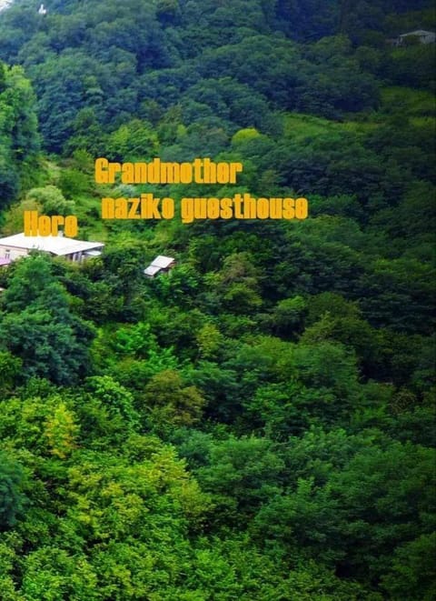 Grandmother Naziko | Georgia | VacationRenter