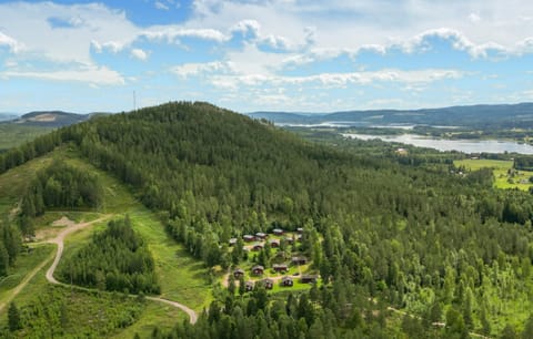 Stunning home in Ekshärad with WiFi | Sweden | VacationRenter