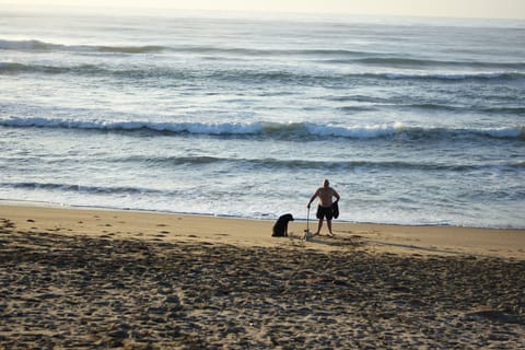Cottage 'On the Beach'....watch the waves....from your bed! | Eastern ...