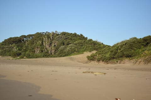 Cottage 'On the Beach'....watch the waves....from your bed! | Eastern ...