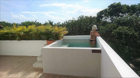 Apartment Loft with pool, private top terrace, plunge & BBQ patio. Fast ...