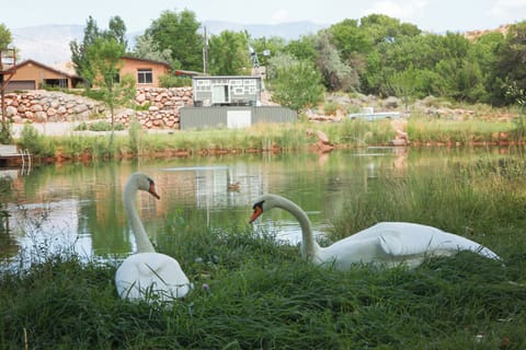 Charming Tiny house near Zion National park | Toquerville, UT ...