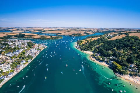 Tree View | Salcombe | VacationRenter