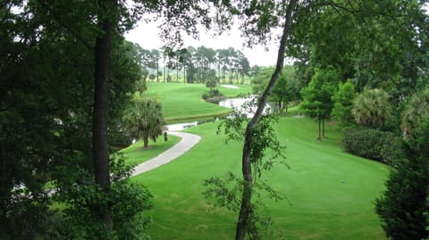 Golf course condo with splendid views close to baseball, softball ...