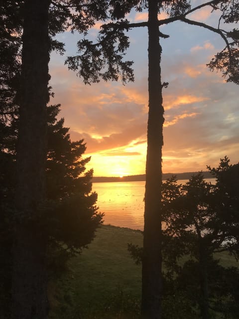 Awesome View Vacation Rentals: The Mermaid Lair | Kodiak, AK ...
