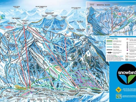 2 Bedroom, 3 bath, Private Hot tub, Sleeps 10, Full Condo, Snowbird ...