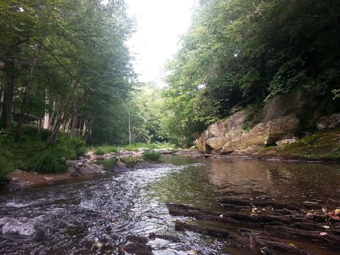 Linville Land Harbor Resort Home, Linville NC, Mountain Getaway, Great ...