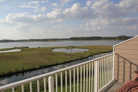 A Bayfront Gem! 4 Kayaks/ 10 Bikes/Pool/Pickleball/Tennis/Gym and more ...