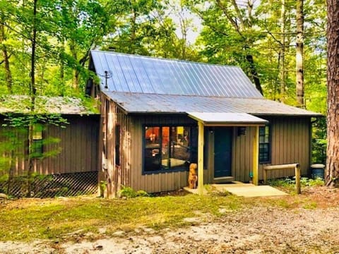 Peaceful Cabin Near Lake Rabun in Lakemont, GA - 3 bdrm - 3 bath | Lake ...