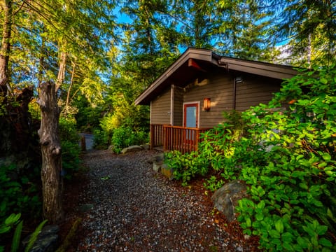 The Cabins - 2 Bedroom - Rainforest Upper Canopy! | Ucluelet ...