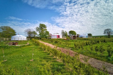 Sycamore - A luxury couples+ Yurt on a stunning historic estate near ...