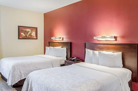 Vacation Day Is Always A Great Idea! 2 Relaxing Units, Near Memorial ...