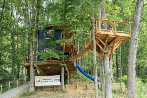 Lakefront Treehouse Oasis in Hocking Hills | Lake Logan, OH ...