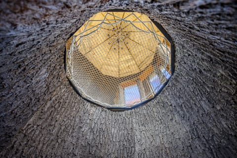 Treetopia Treehouse!Waterfall!3Story Slide!OutdoorBed!Nest Hottub!Sauna ...