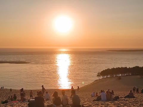 Beautiful Landes bastide near large lake | Sanguinet | VacationRenter