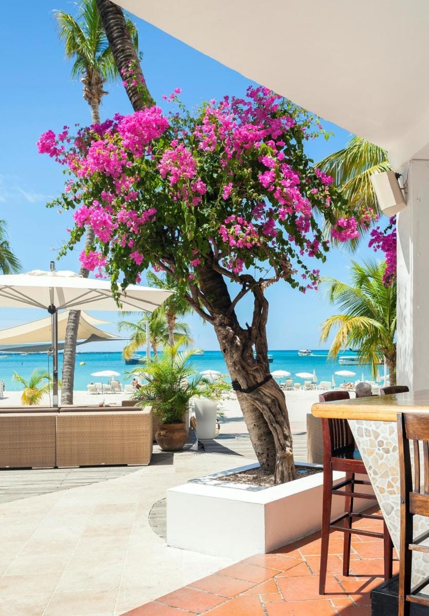 Holland House Beach Hotel | Sint Maarten | VacationRenter