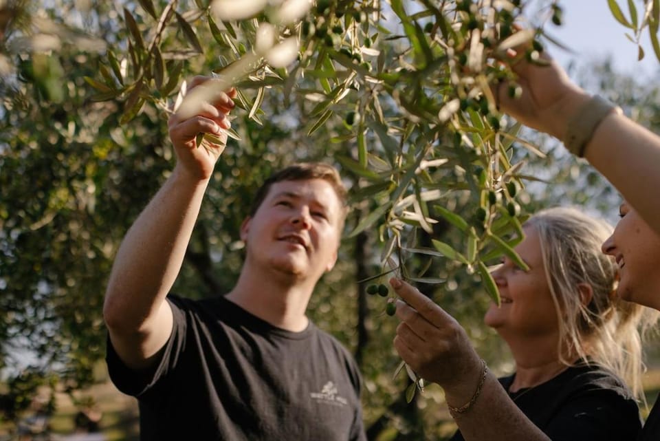 The Olive Leaf Retreat | Latrobe | VacationRenter