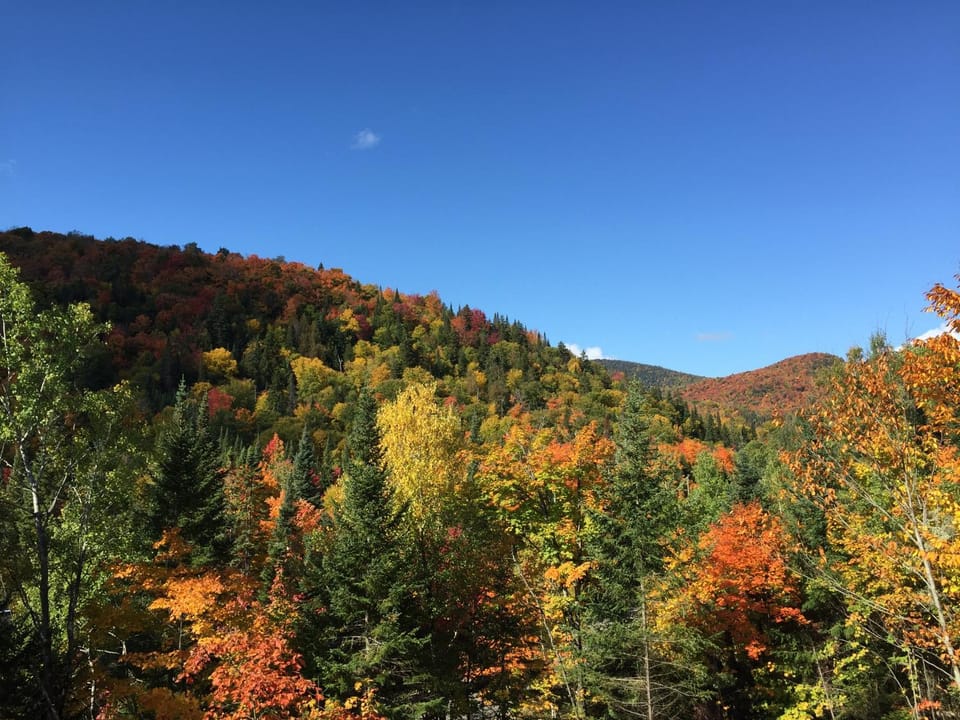 Loft Nature Laurentides | Saint-Donat | VacationRenter