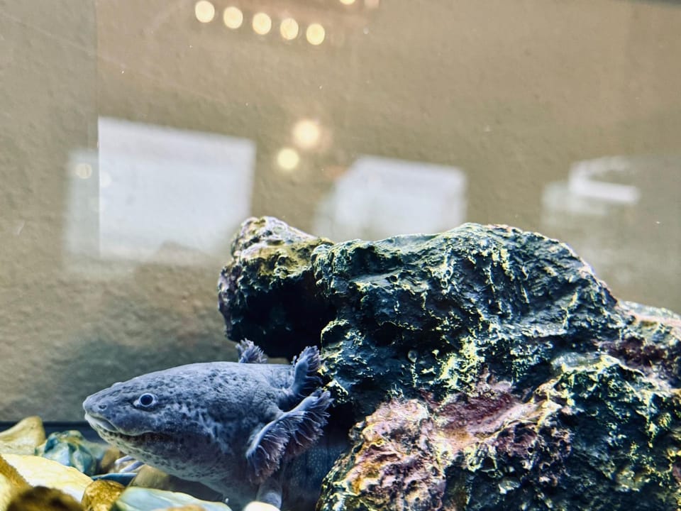 The Tillamook Inn | Tillamook, OR | VacationRenter