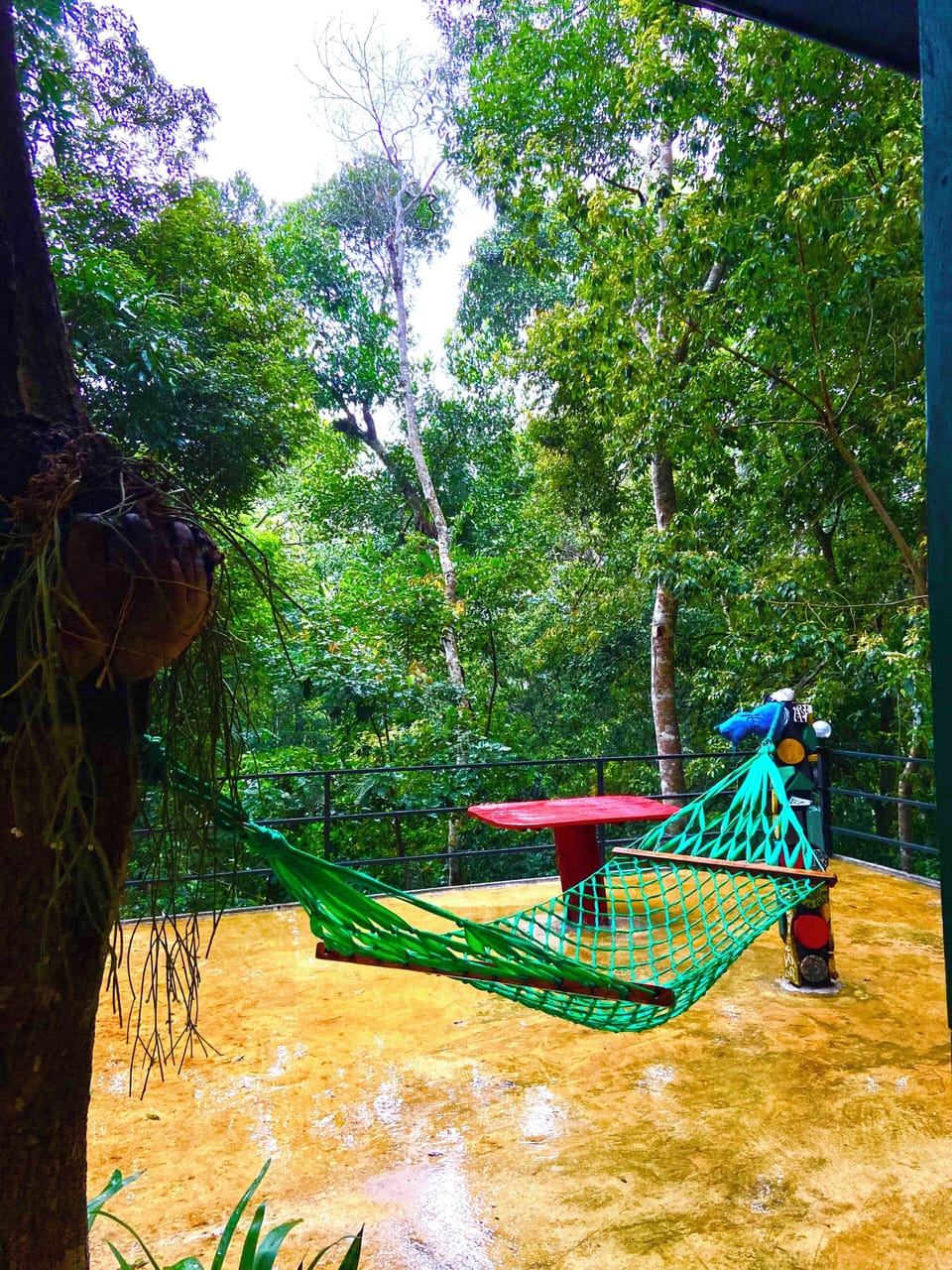 Tree room with Mountain View | Gangawatakorale | VacationRenter