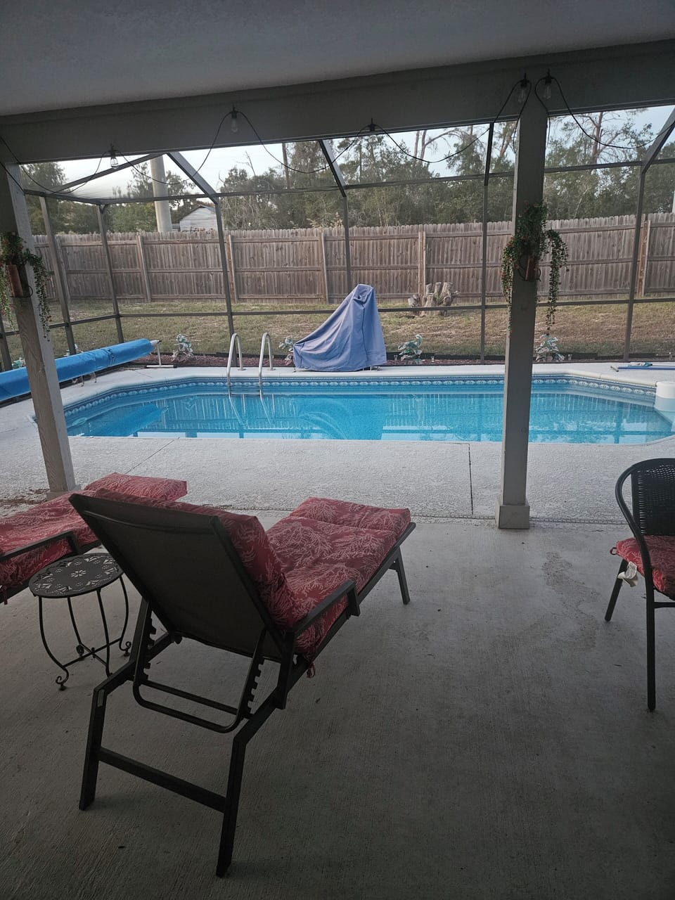 Charming & Beautiful Pet friendly Pool home in Spring Hill, Florida ...