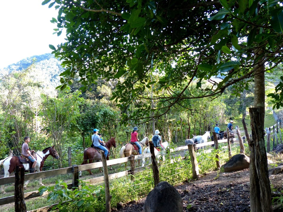 Panorama: Vista Paradise – Integrated Rural Turism Farm | Alajuela ...
