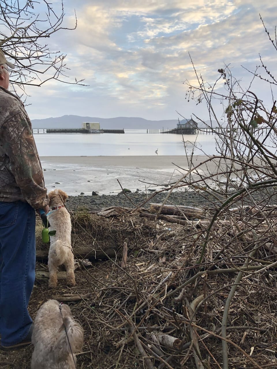 Oregon Coast Vacation Rental by the Sea | Garibaldi, OR | VacationRenter