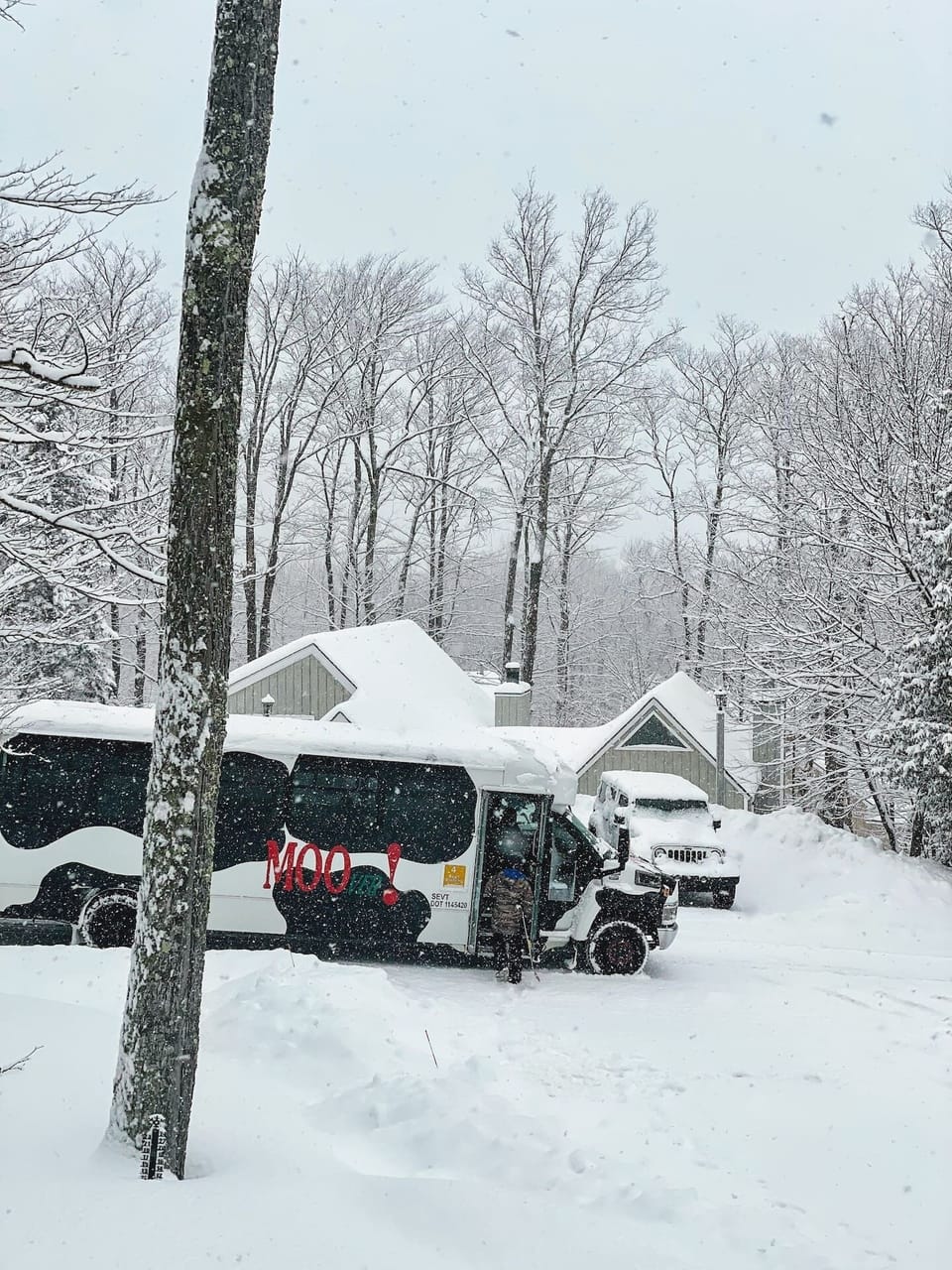 4BR 2BA - MT SNOW, SKIBACK TRAIL, FREE SHUTTLE, POOL, BBQ - Green ...