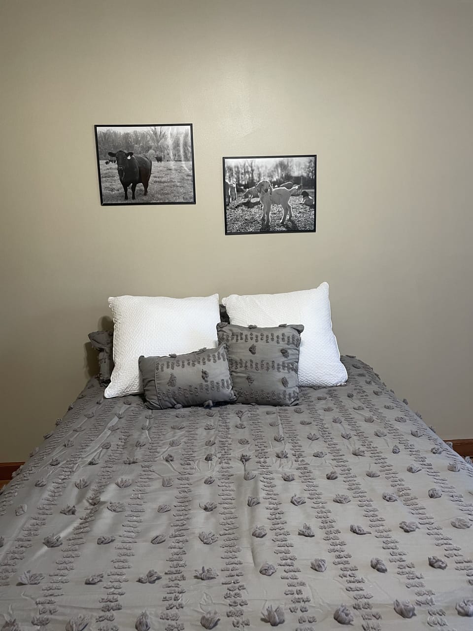 Third Day Farm Country Getaway Stay Enjoy the country life | Indiana ...