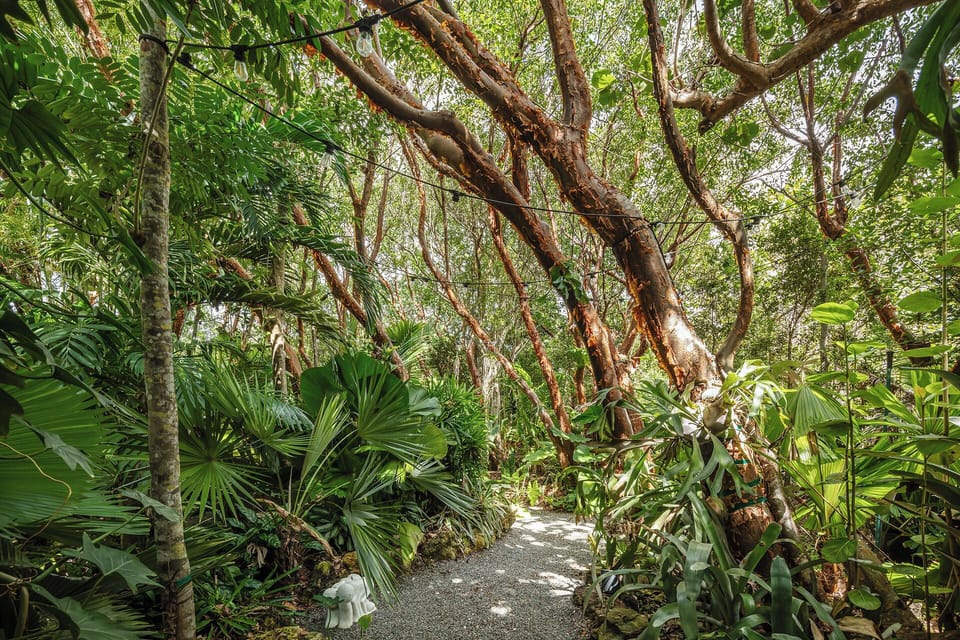 The Tree-House: Tropical getaway in a lush private jungle property ...