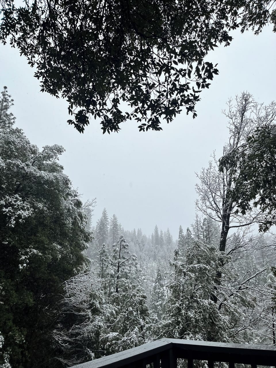 Osito Lindo's: Your Serene Twain Harte Escape 3 Bedroom/10 Beds ...