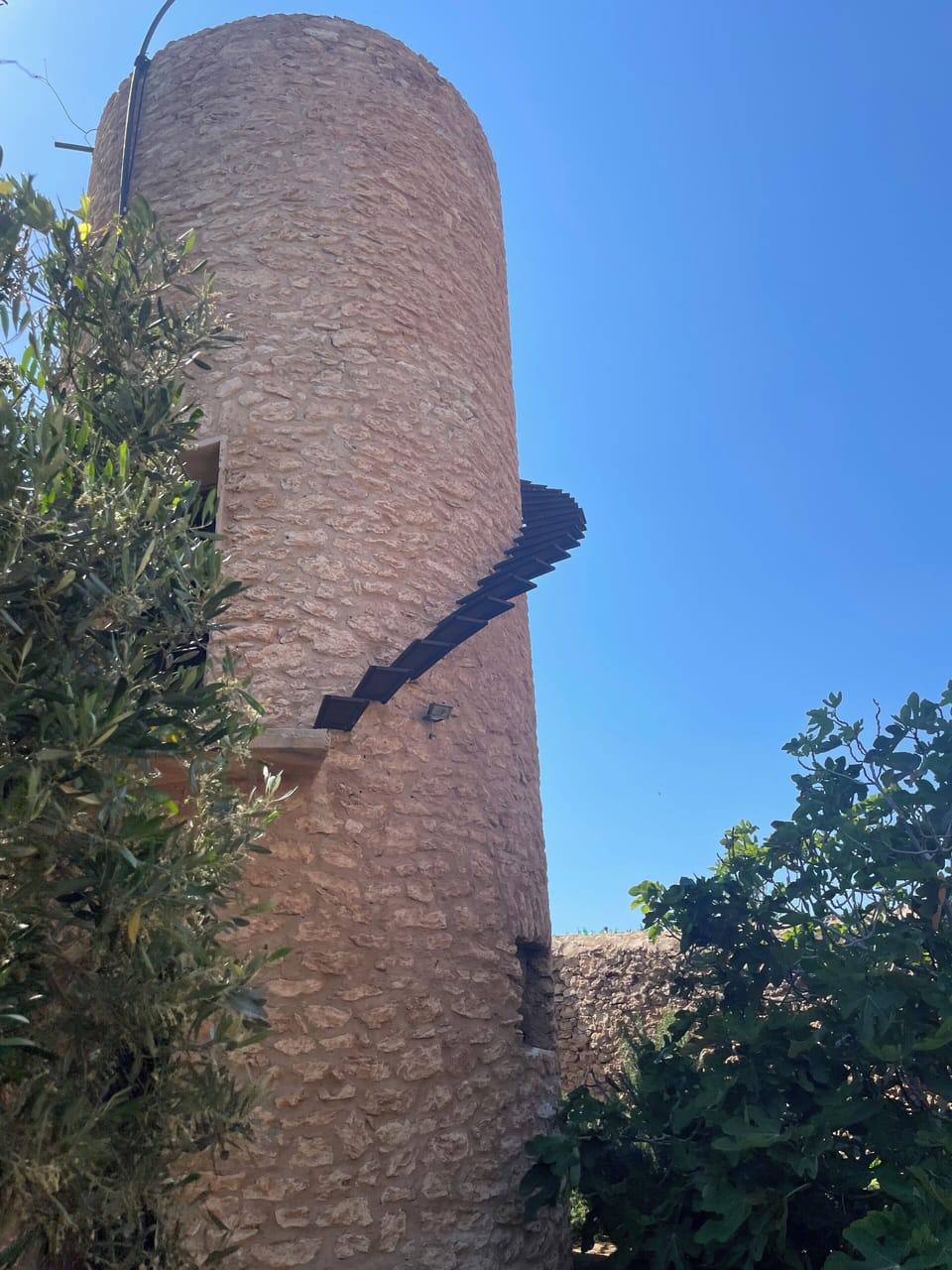 Villa M'Birika - with large swimming pool surrounded by olive and ...