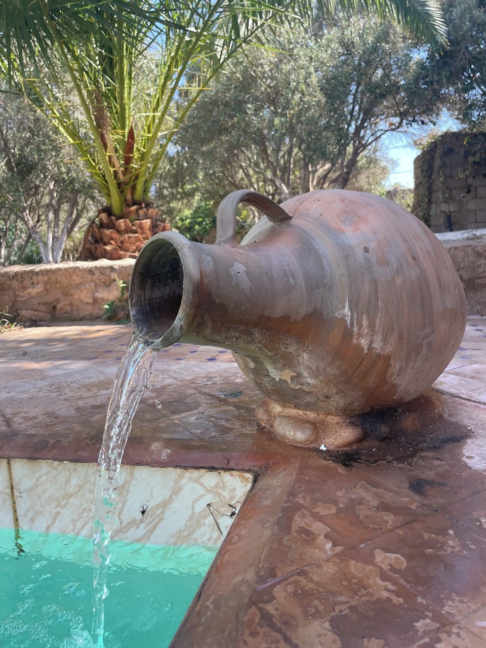 Villa M'Birika - with large swimming pool surrounded by olive and ...