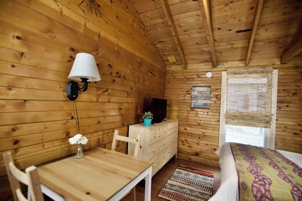 The Forget-Me-Not Cabin with Mountain Views | Lake City, CO ...