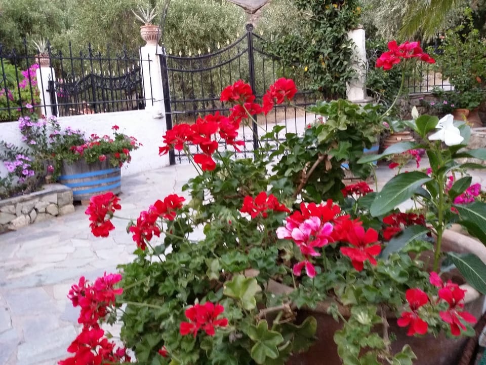 Stunning 2-Bedrooms private Cottage in Palaiochora | Crete | VacationRenter