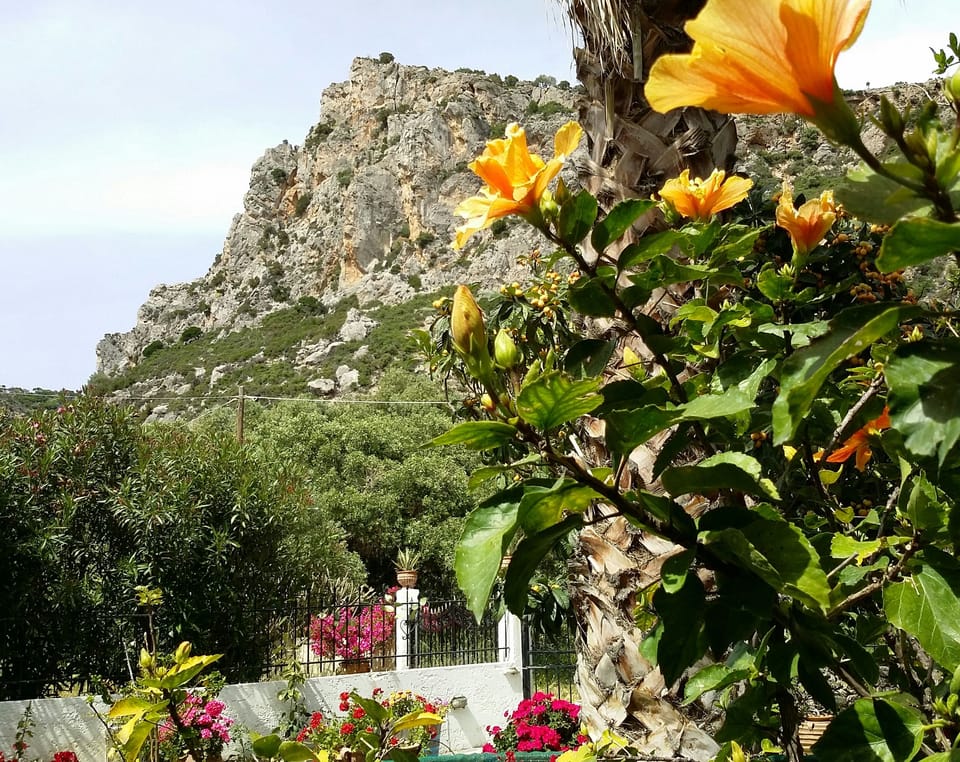 Stunning 2-Bedrooms private Cottage in Palaiochora | Crete | VacationRenter