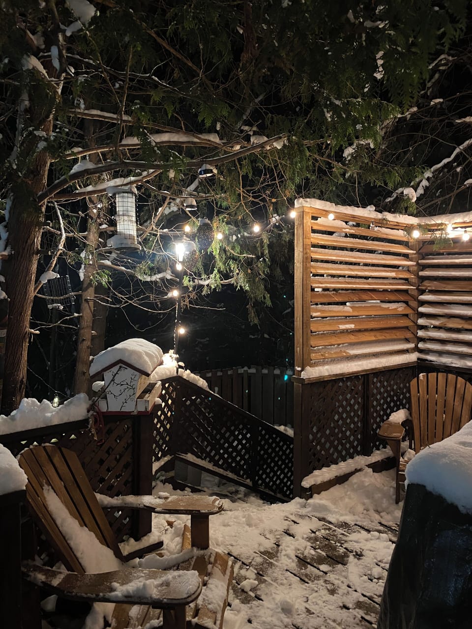 Pet-Friendly, Secluded Waterfront Cottage with Modern Amenities & Cozy ...