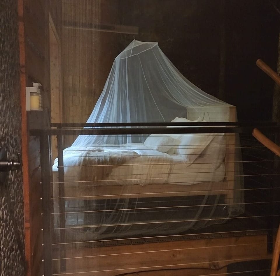 Treetopia Treehouse!Waterfall!3Story Slide!OutdoorBed!Nest Hottub!Sauna ...